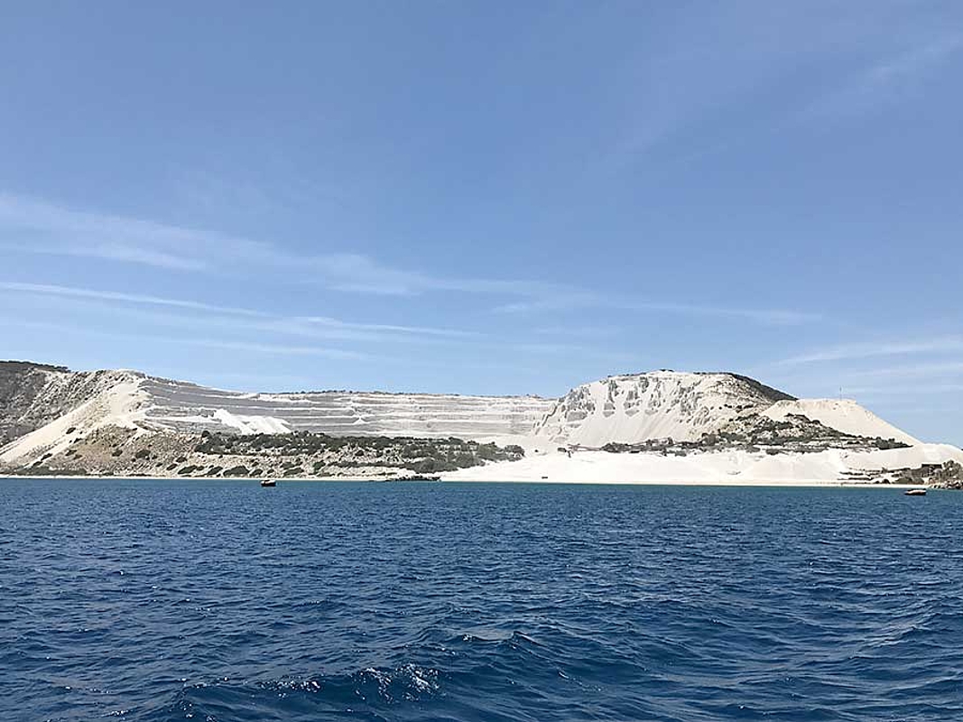 YALI® | yalibims.com